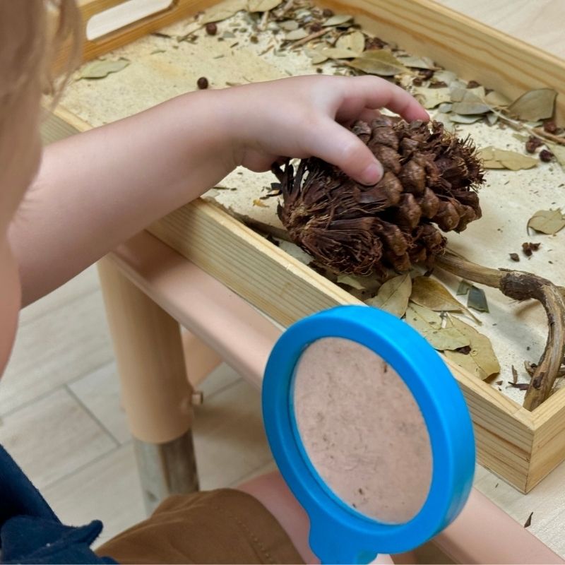 STEAM Education Montessori | Science Tech Arts Math - Montessori Reggio ...